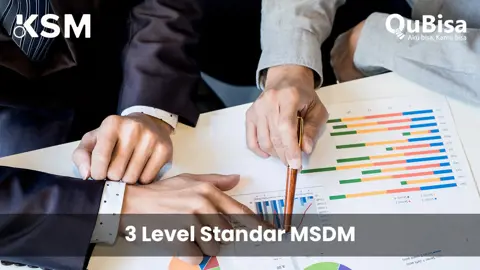 3 Level Standar MSDM Dalam Diagram